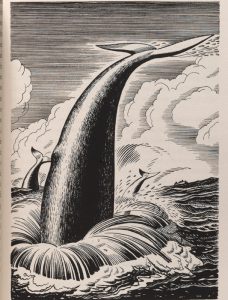 The Story Behind Moby Dick by Herman Melville - Bauman Rare Books